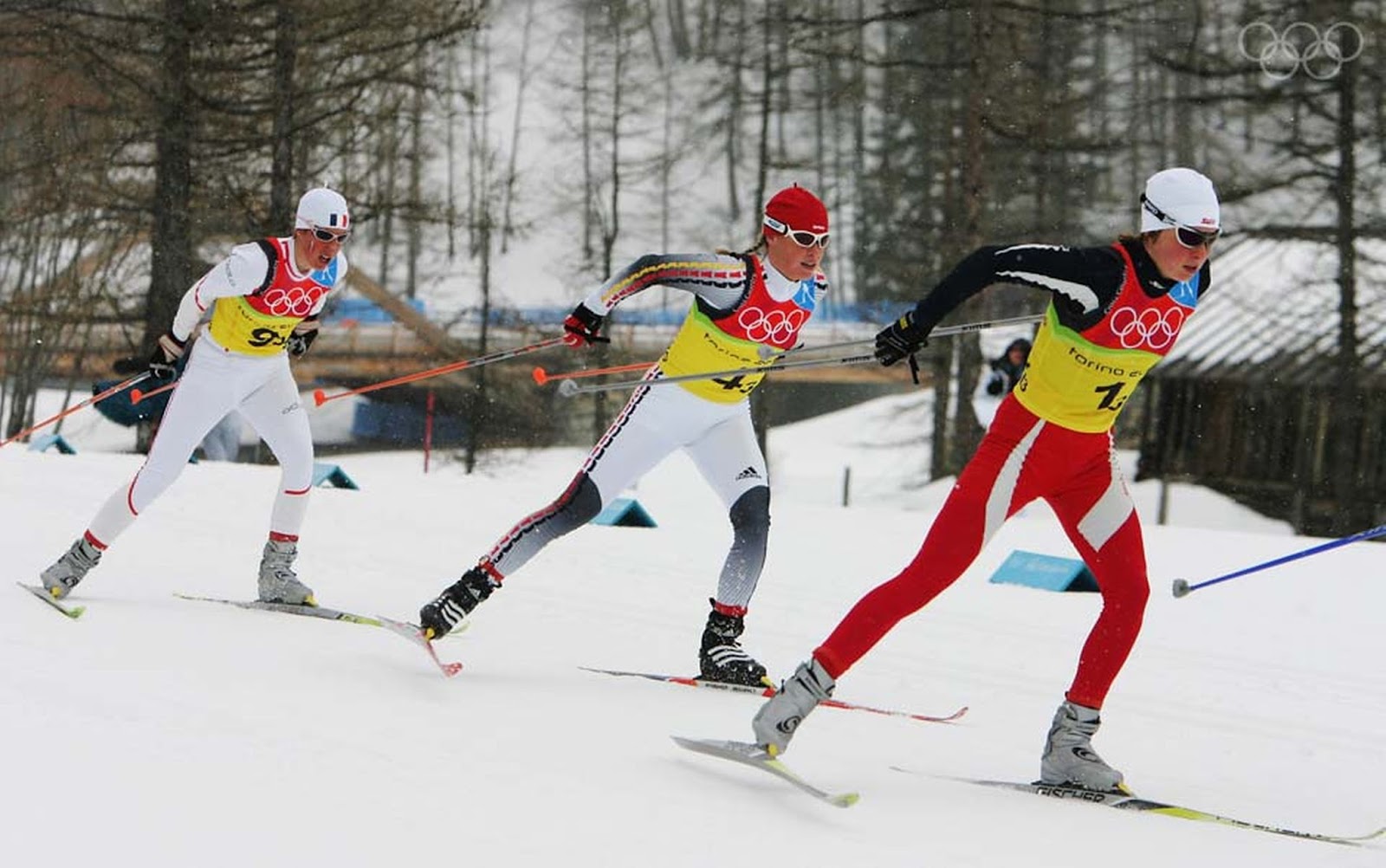 Juegos Olímpicos: esquí de fondo
