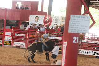 All the days of our lifes: Davie, FL Orange Blossom Festival & Rodeo