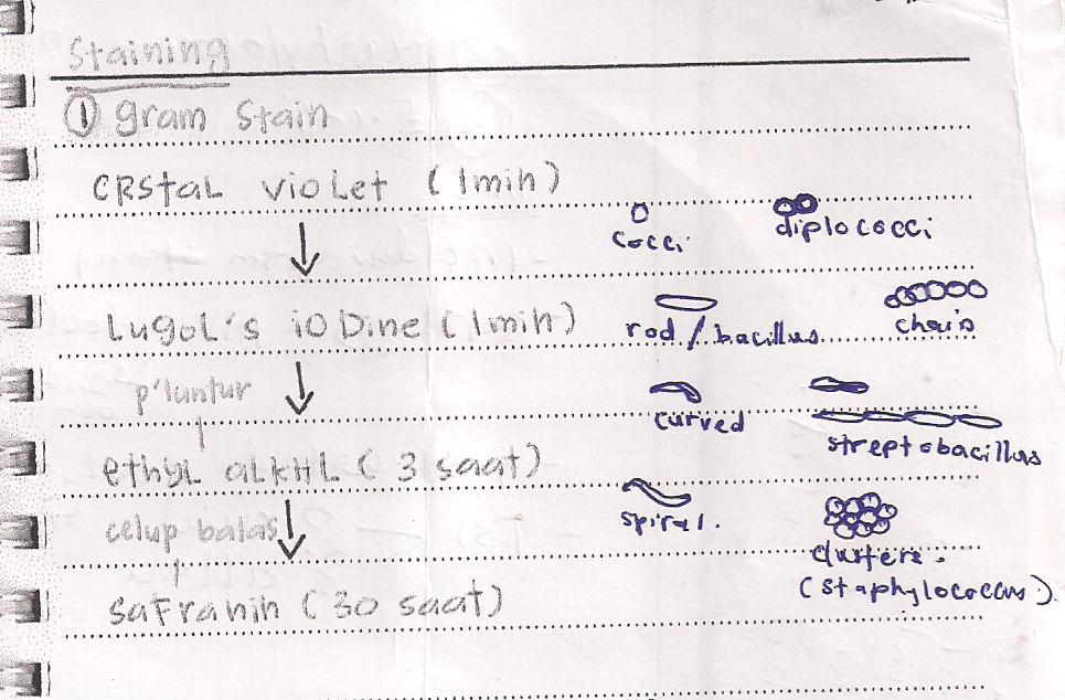 Medical Laboratory Technology - SOP: Gram Stain