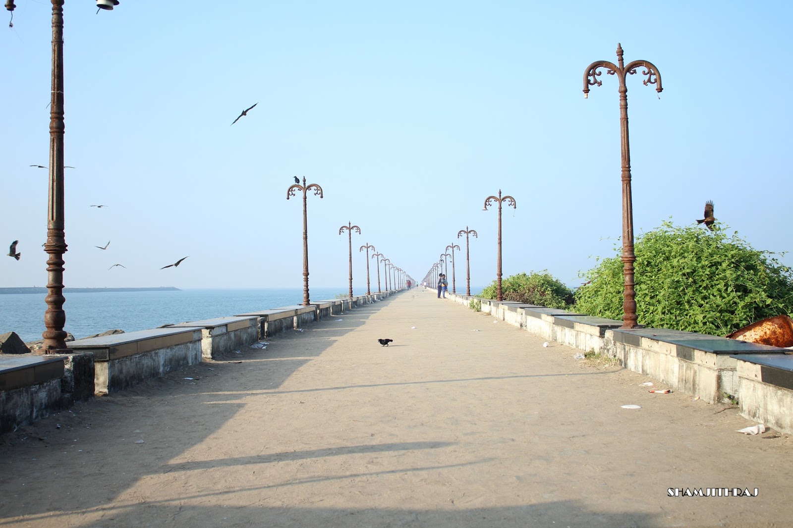 Island Tourism Kadalundi: BEAUTY OF BEYPORE & PULIMUTT