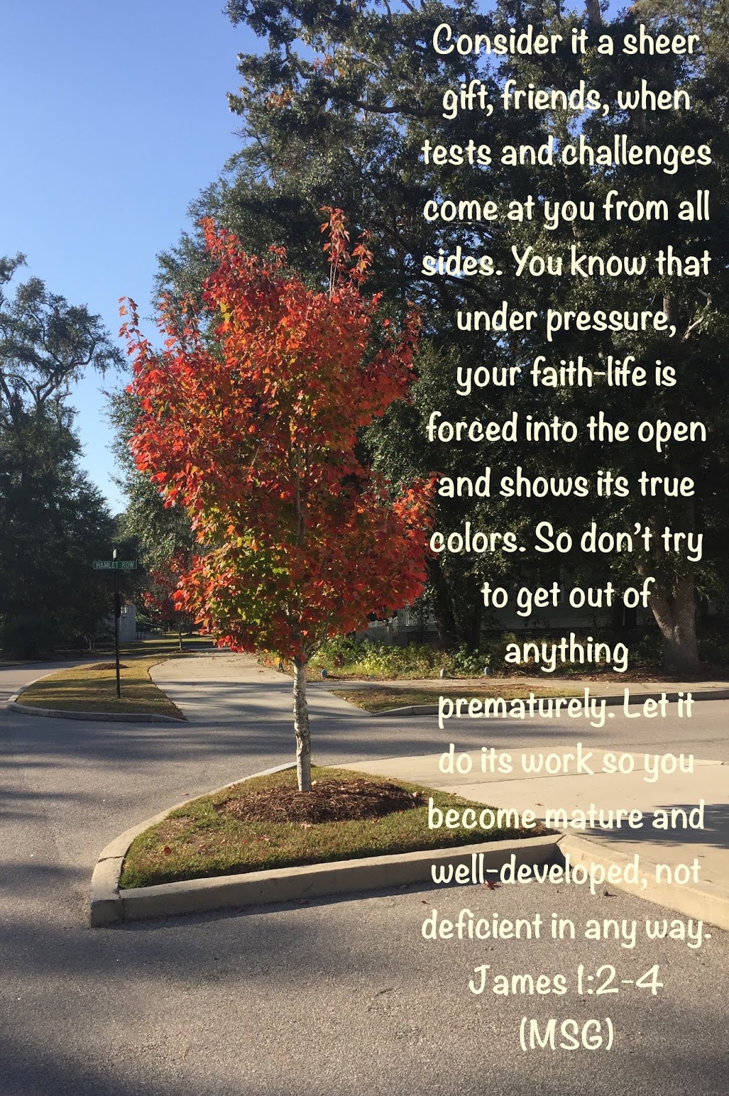 My Strength: James 1:2-4 - "Blessings"