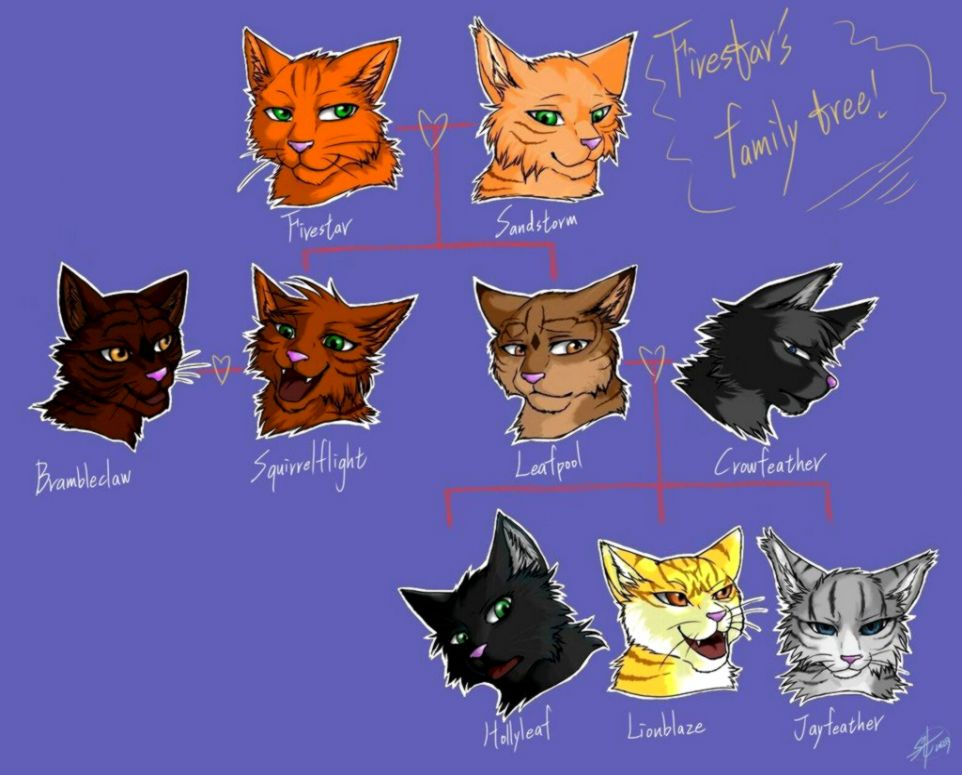 Warrior Cats Bluestars Family Tree | Best Wallpapers HD Collection