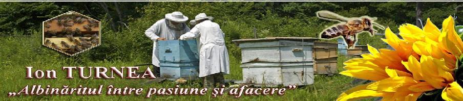Miere , Albine , Stupi ,Tratamente Cu Propolis,Trateazate Cu Propolis