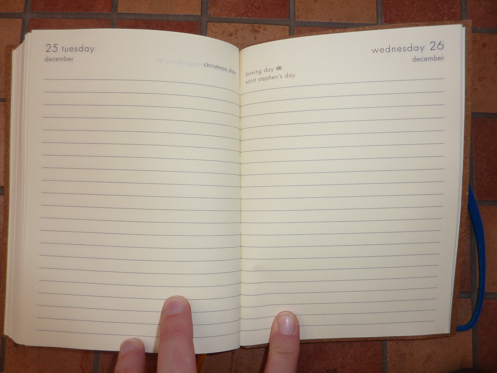 Plannerisms: Daily Diary Decision