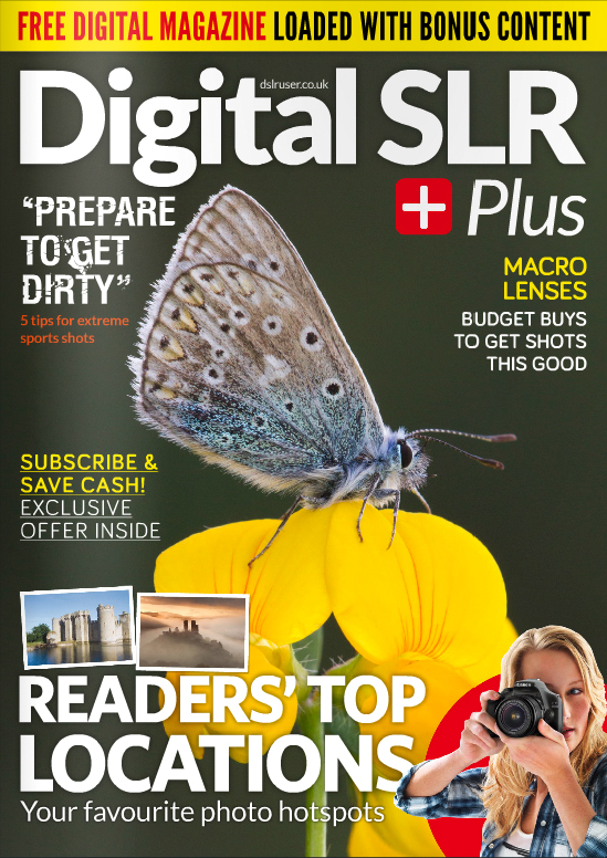 Matt Cole Macro Photography: Butterflies and Dragonflies Article in ...