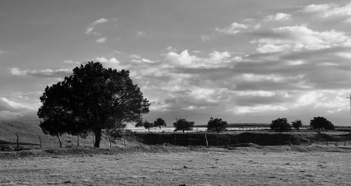 Adam Zoller Duplán: Los Minondo