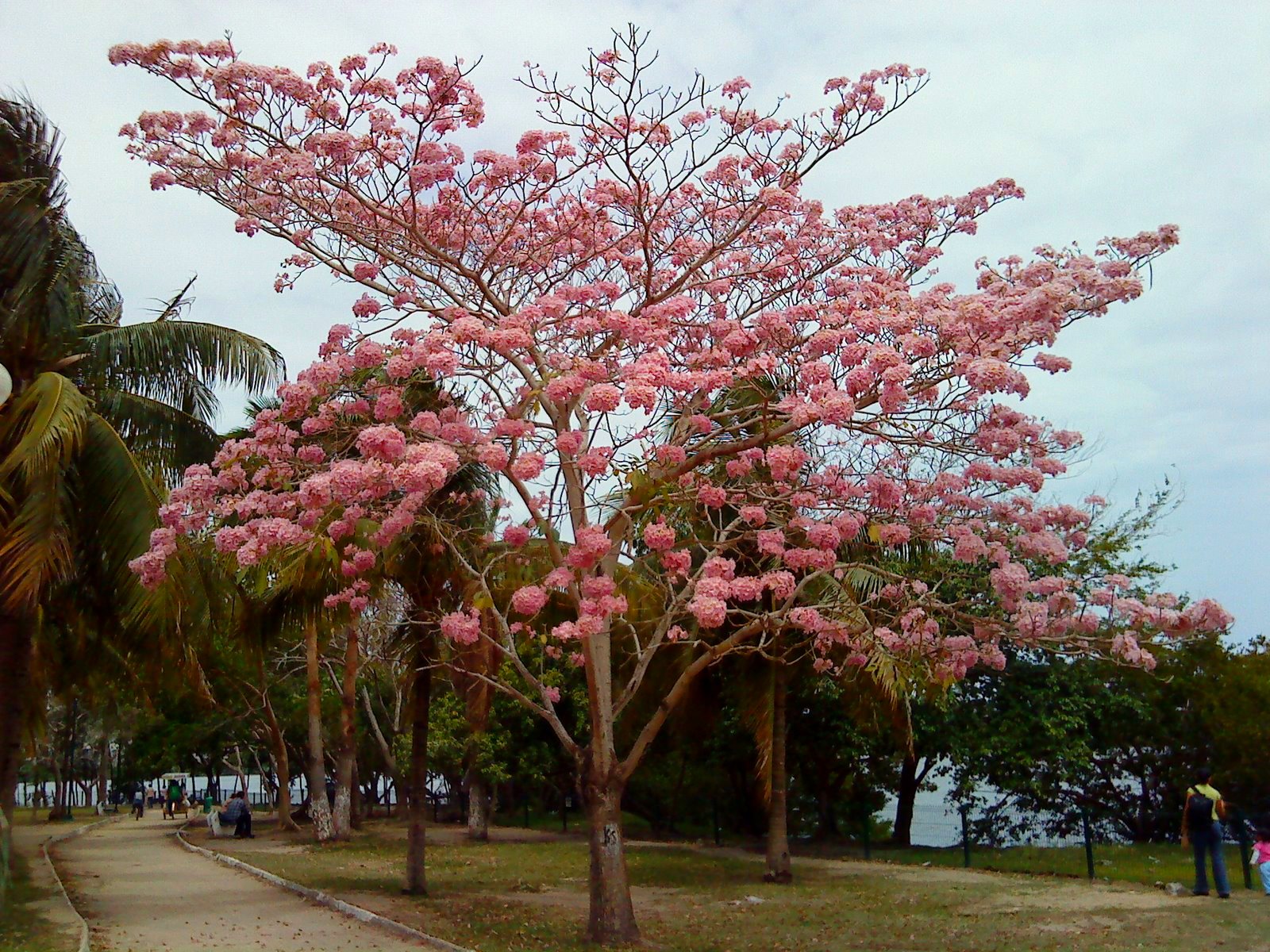 Te presento mi país: Argentina (Segunda Parte) - Taringa!