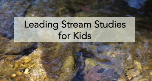 In My Classroom: The Forest and the Trees: Leading Stream Studies for Kids