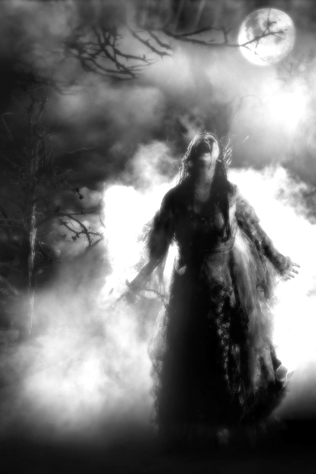 Are You Afraid of the Dark?: Scath Oran Blog Tour: The Banshee