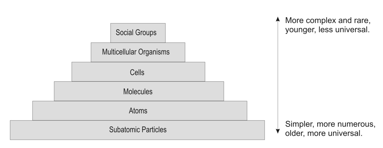 Ramblebrain: Science, the Roots of Nature, and the Branches of Knowledge