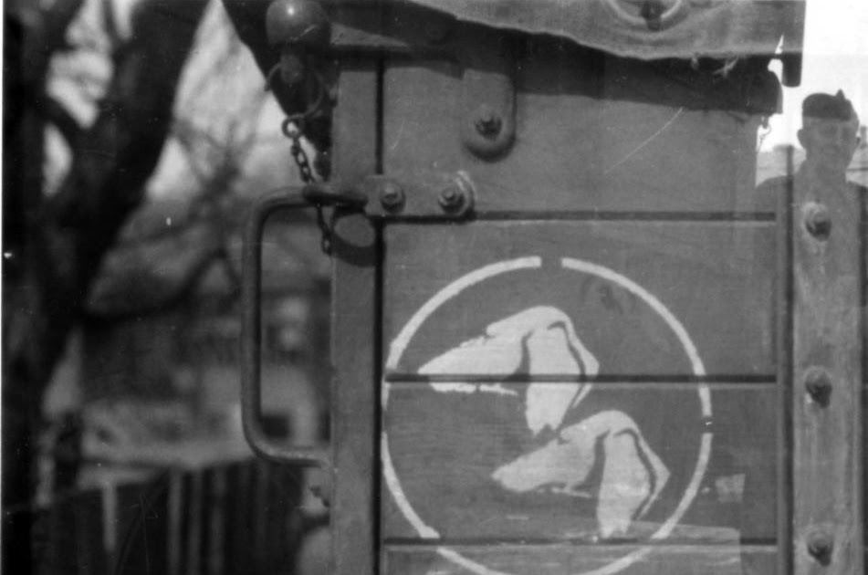 NAZI JERMAN: Album Foto Anjing (Hunde) Nazi Jerman