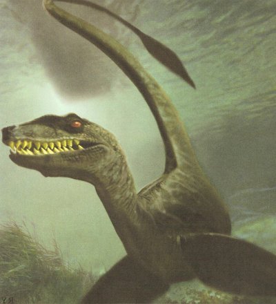 Blog Misteri Tesla: Legenda Altamaha-ha