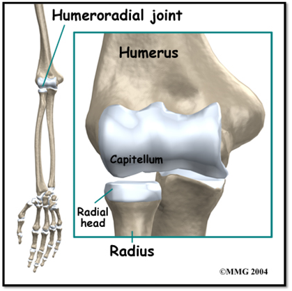 ardi aja: elbow joint