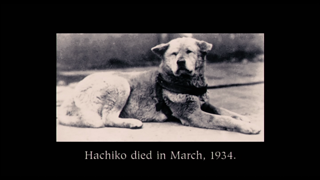 The Devoted Daughter: Hachi : A Dog's Tale