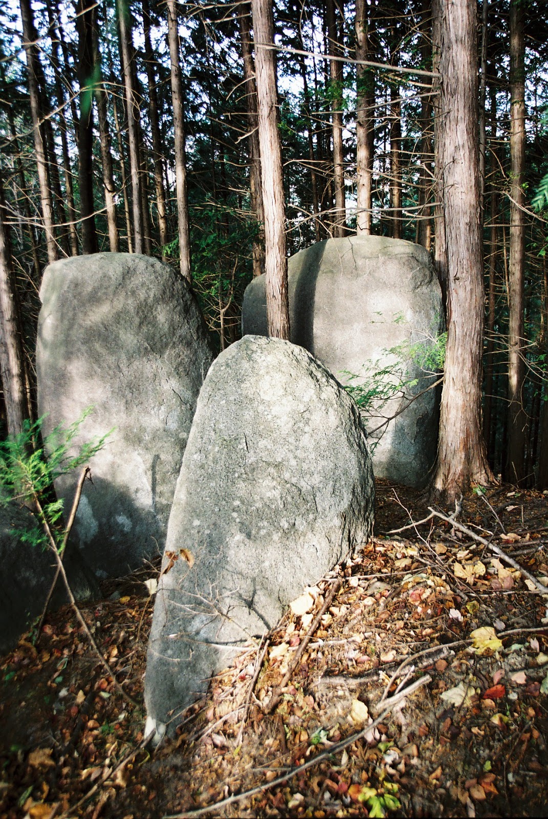 Sacred gateways of Japan: Japan's ancient megaliths & OOPARTS - photo ...