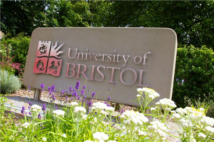 Education: University of Bristol