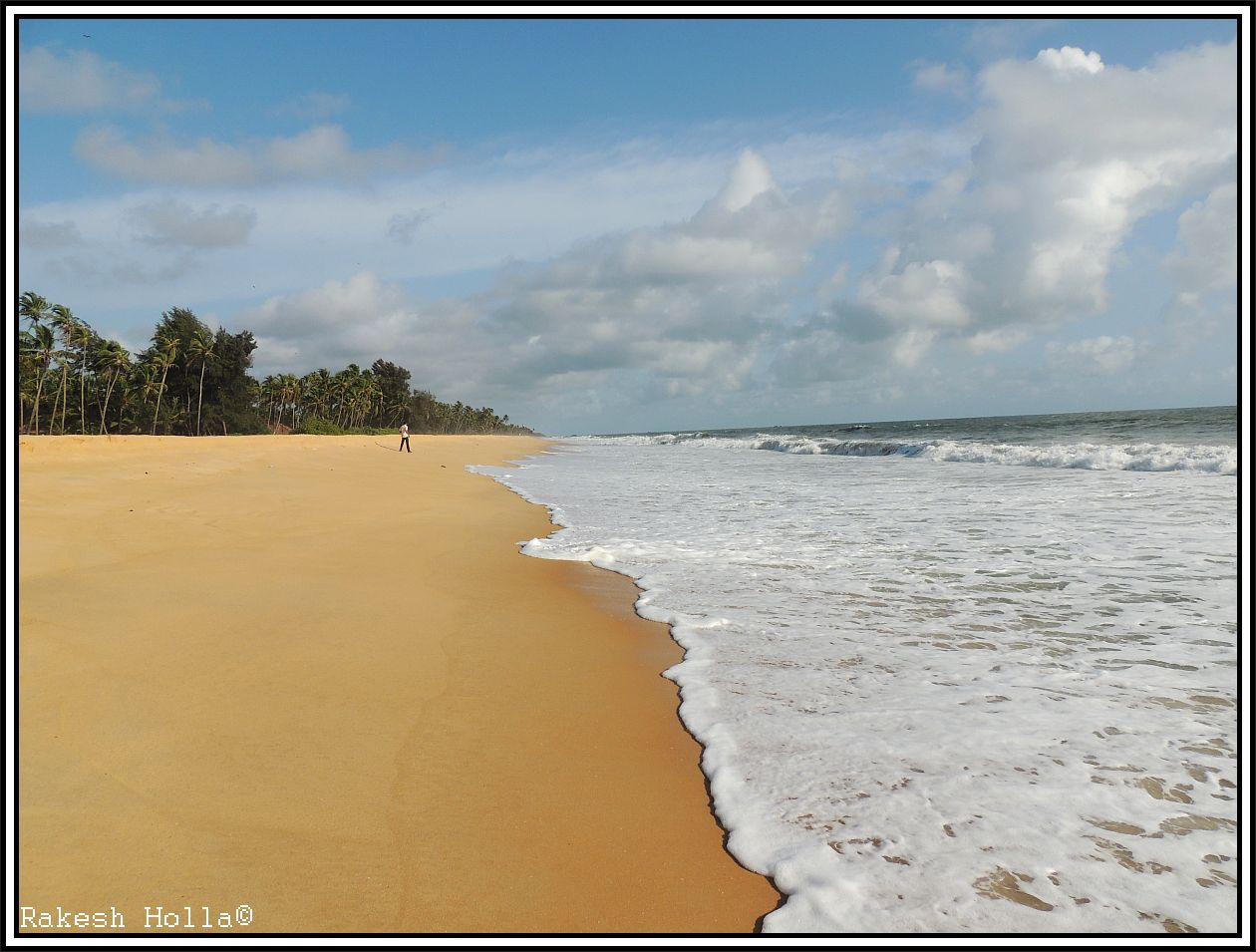 The Voice of Greenery - Trekking and Travelling in Western Ghats: A ...