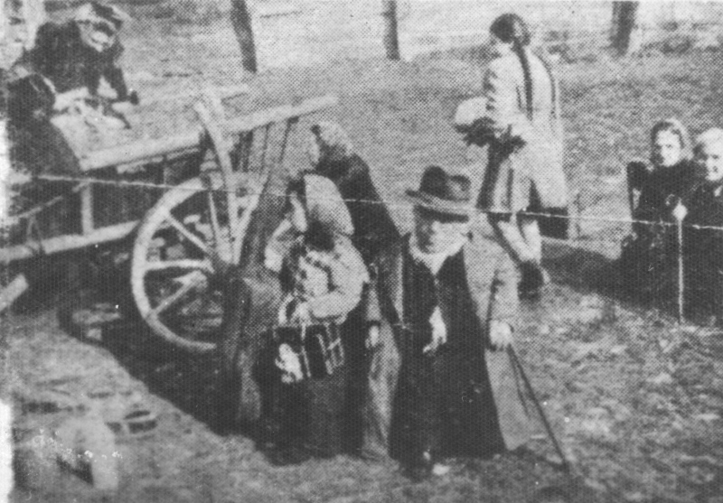 The Ovitz Family: Extraordinary Story and Amazing Vintage Photos of the ...