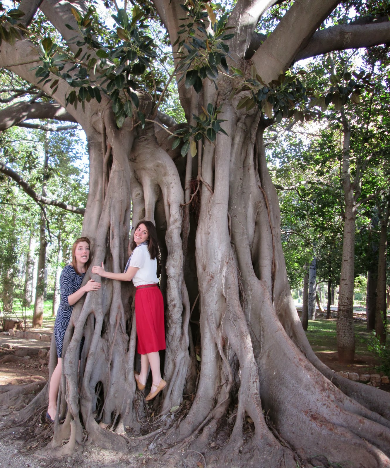 My Mission in Rome: Villa Giulia Botanical Gardens and Growth