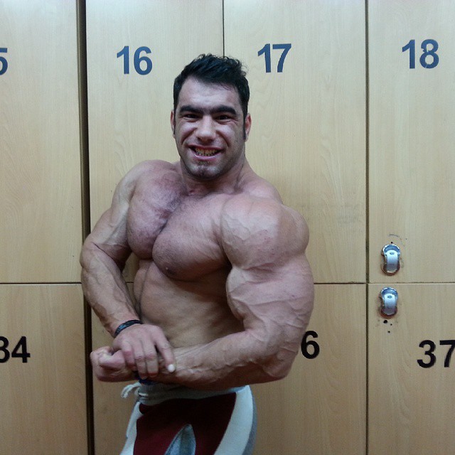 Muscle Lover: Iranian bodybuilder Ayat Bagheri