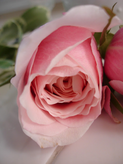 Tips and Ideas for Making Cut Flowers Last - Fox Hollow Cottage