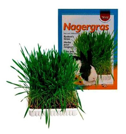 Hierba ~ Tengo Un Conejo