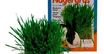 Hierba ~ Tengo Un Conejo