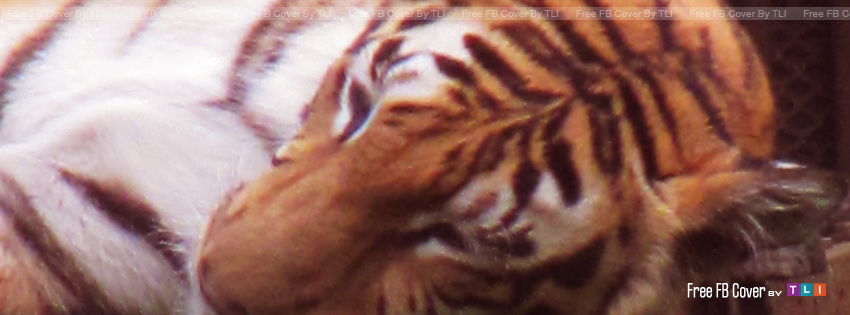 Free FB Covers: Animal & Pets Free Facebook Timeline Covers