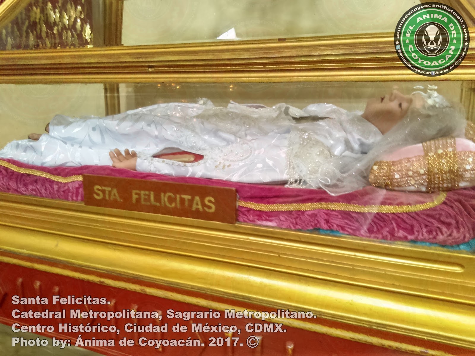 El Blog del Anima de Coyoacan: Santa Felicitas. (4 Fotos)