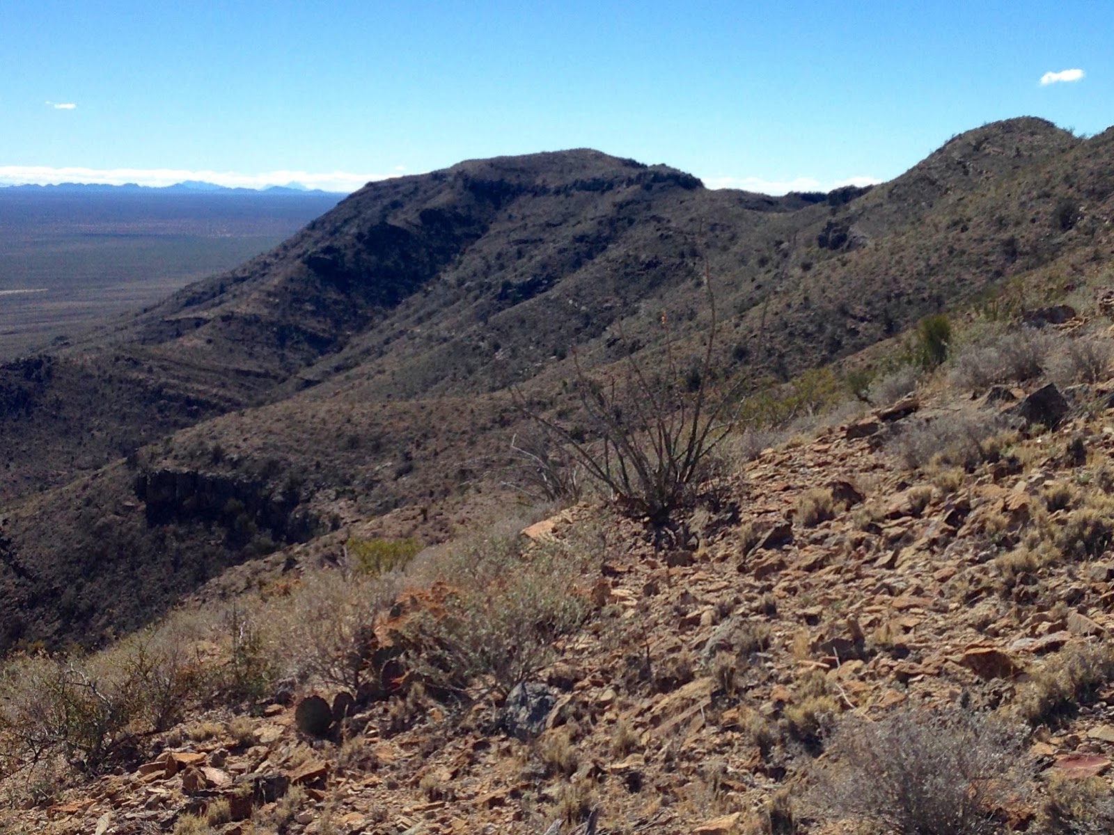 Southern New Mexico Explorer: East Potrillo Wilderness - Organ ...