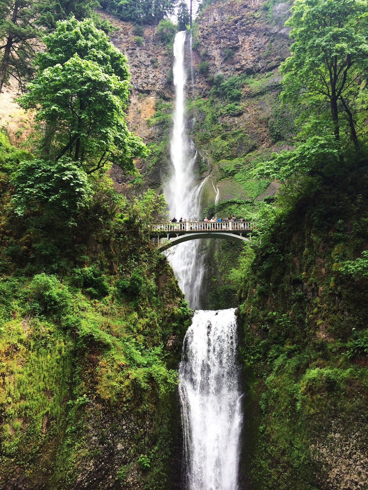 Aqua and Coral Imagery: The Heavenly Multnomah Falls of Oregon