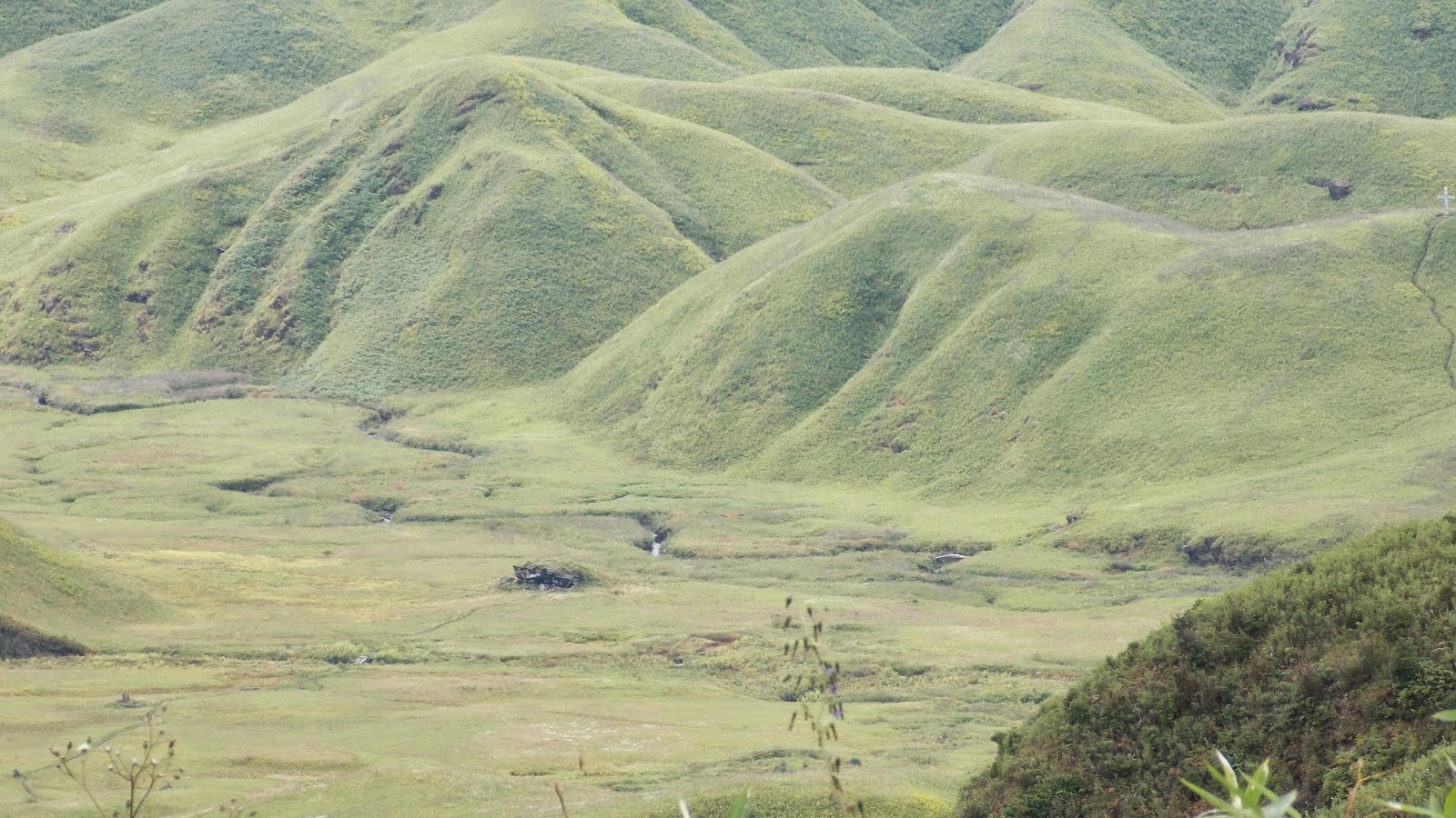 All in ONE: Nature at its Best- Dzukou Valley Nagaland, NorthEast India