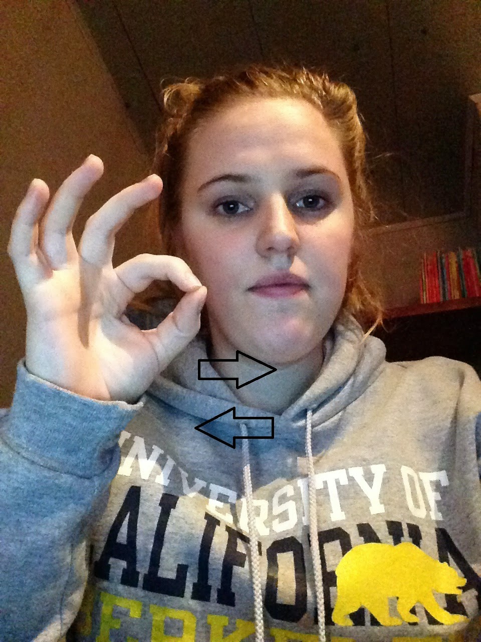 My Understanding of Auslan: Yes & No