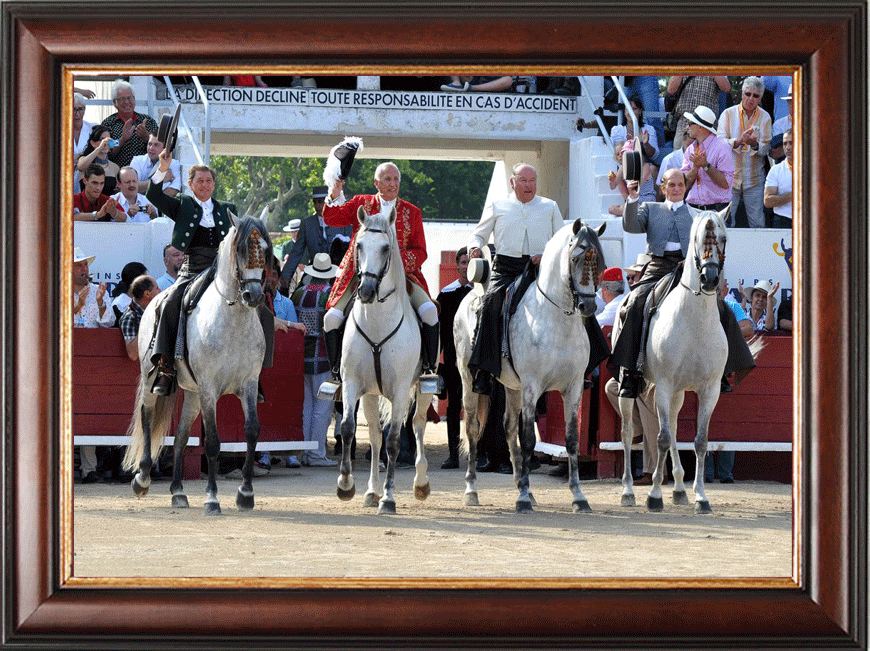 tauromaquia: El Rejoneo