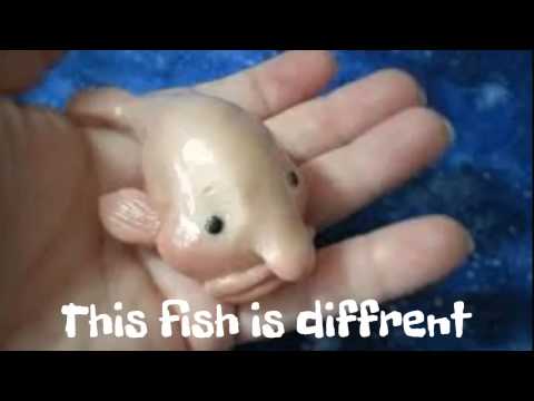 Monsters and me: BLOB FISH PROJECT (for school)