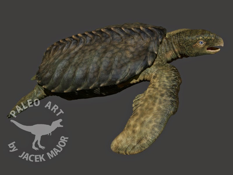 ART BLOG: ARCHELON model is ready, about 15 hours of work