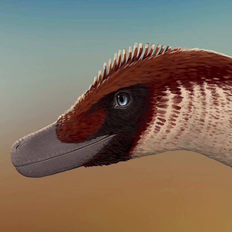 Love in the Time of Chasmosaurs: November 2014