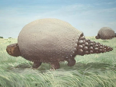 Paleontología Noticiosa: Un Gliptodonte en toda su dimensión.