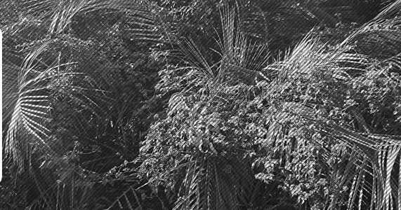 BluByrdy's TG Caption Arcade