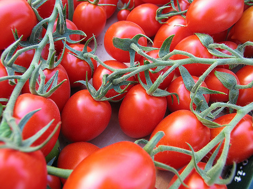 Behind the French Menu: Tomate – Tomato. France’s Greatest Tomato, the ...