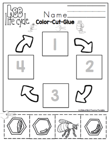 Bee Life Cycle Math & Literature and Craft ~ Preschool Printables