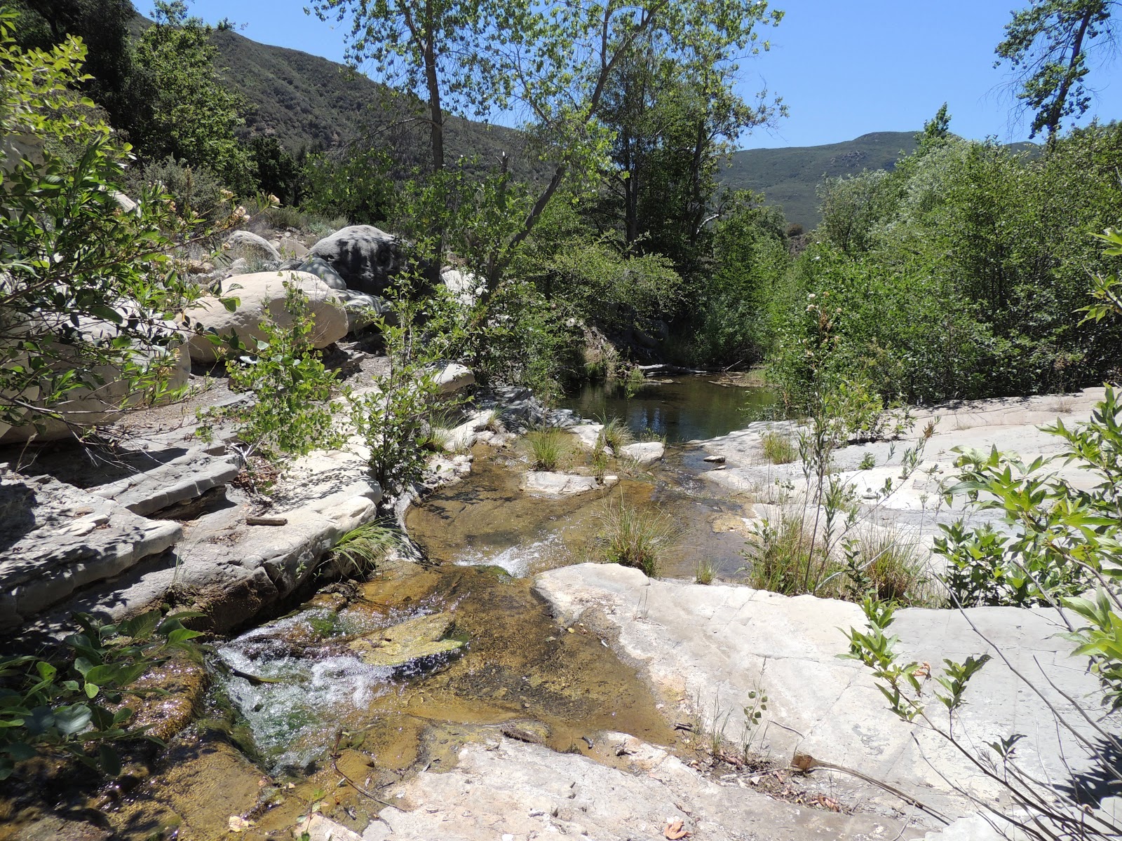 1000 Hikes in 1000 Days: Day 915: Matilija Falls - Bald Hills Trail