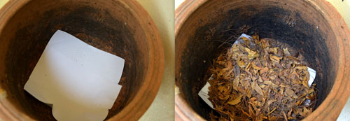 4 Ways to Compost Kitchen Waste at Home-How to brand Organic Manure ...