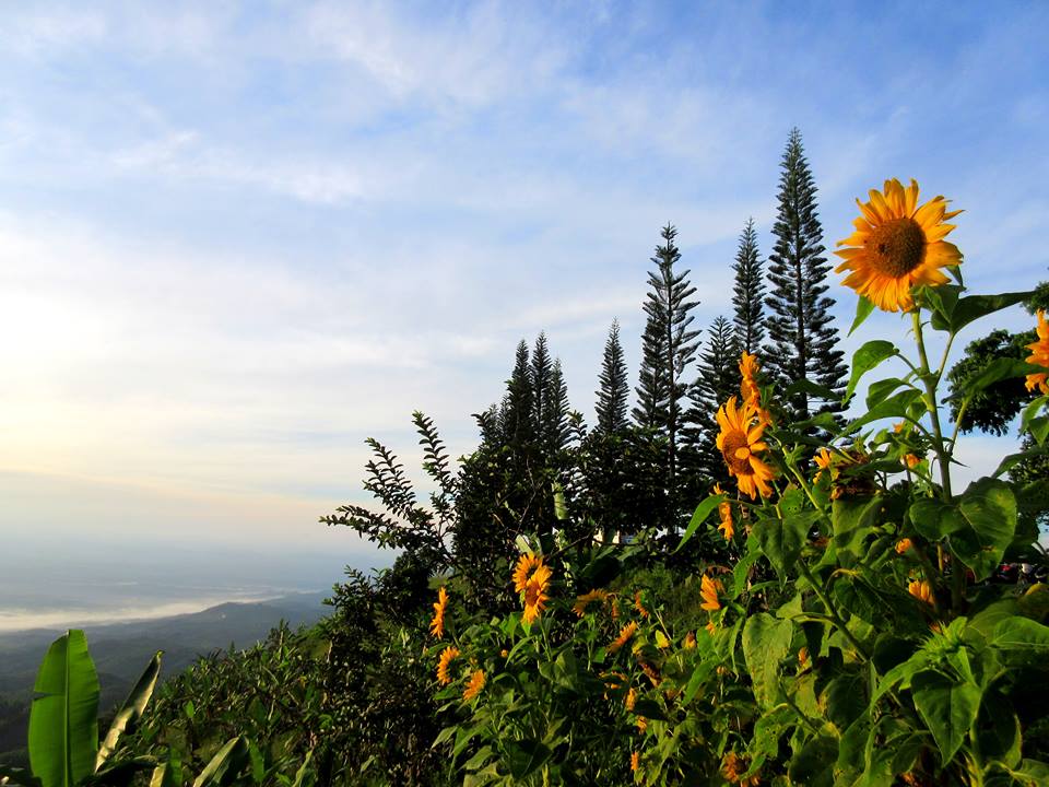 Kalon Barak Skyline Ridge, Malungon Sarangani Province - Beautiful Mindanao