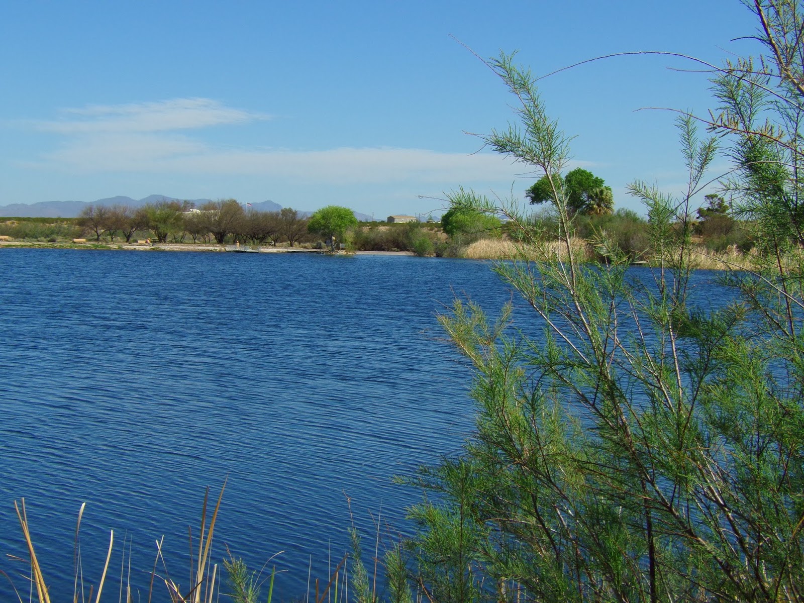 Roper Lake State Park - Dankworth Village, Arizona