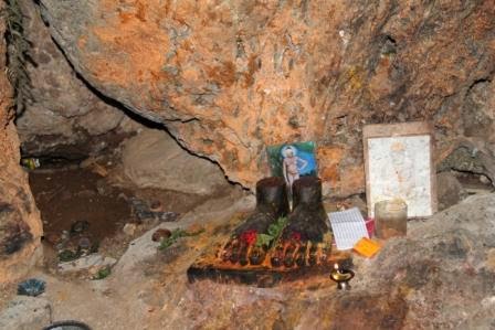 Kardali Van: Photo Album 4 - Kardalvanam - Forest