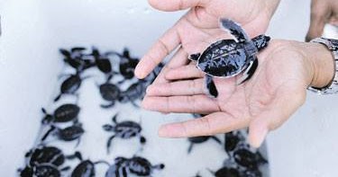 11 Tempat Menarik Yang Boleh Dilawati Jika Berkunjung ke Kemaman ...