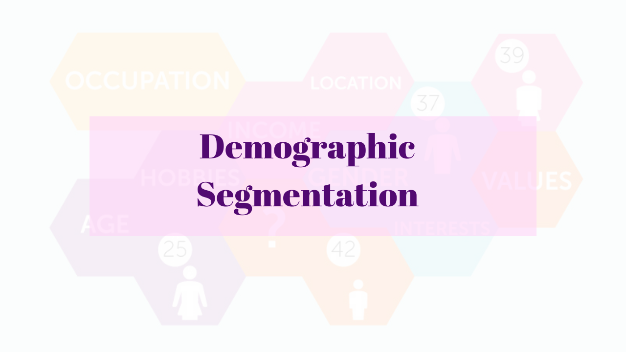 Demographic Segmentation | BEAM