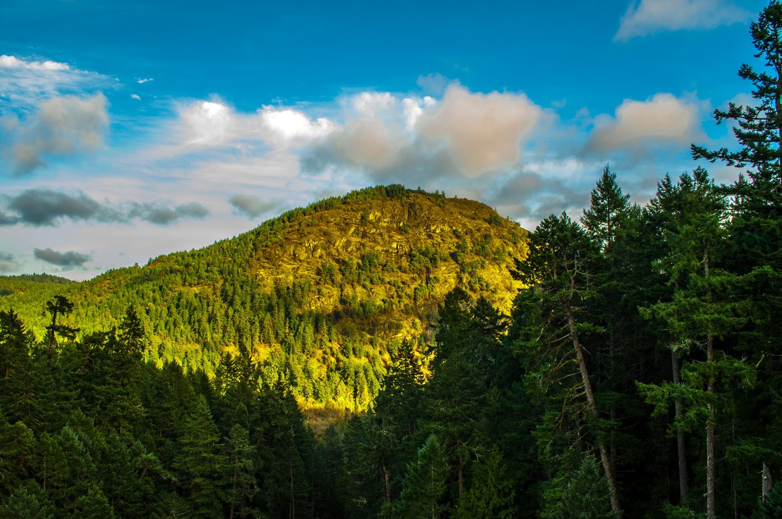 Running, Rocks and Rock: Mount Finlayson Victoria, BC Double Summit ...