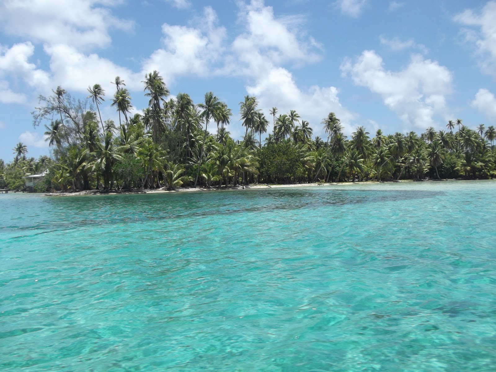 Tour du monde: d iles en iles